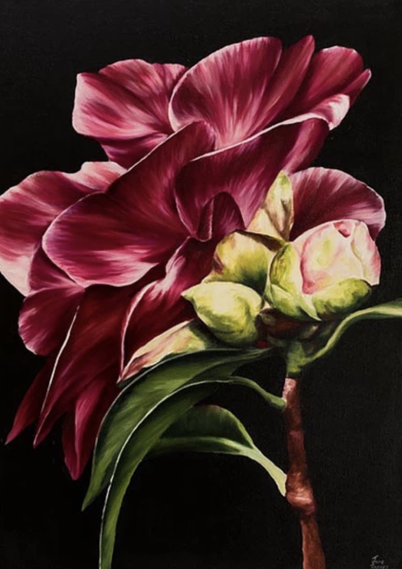 Work | Jane Reeves Art