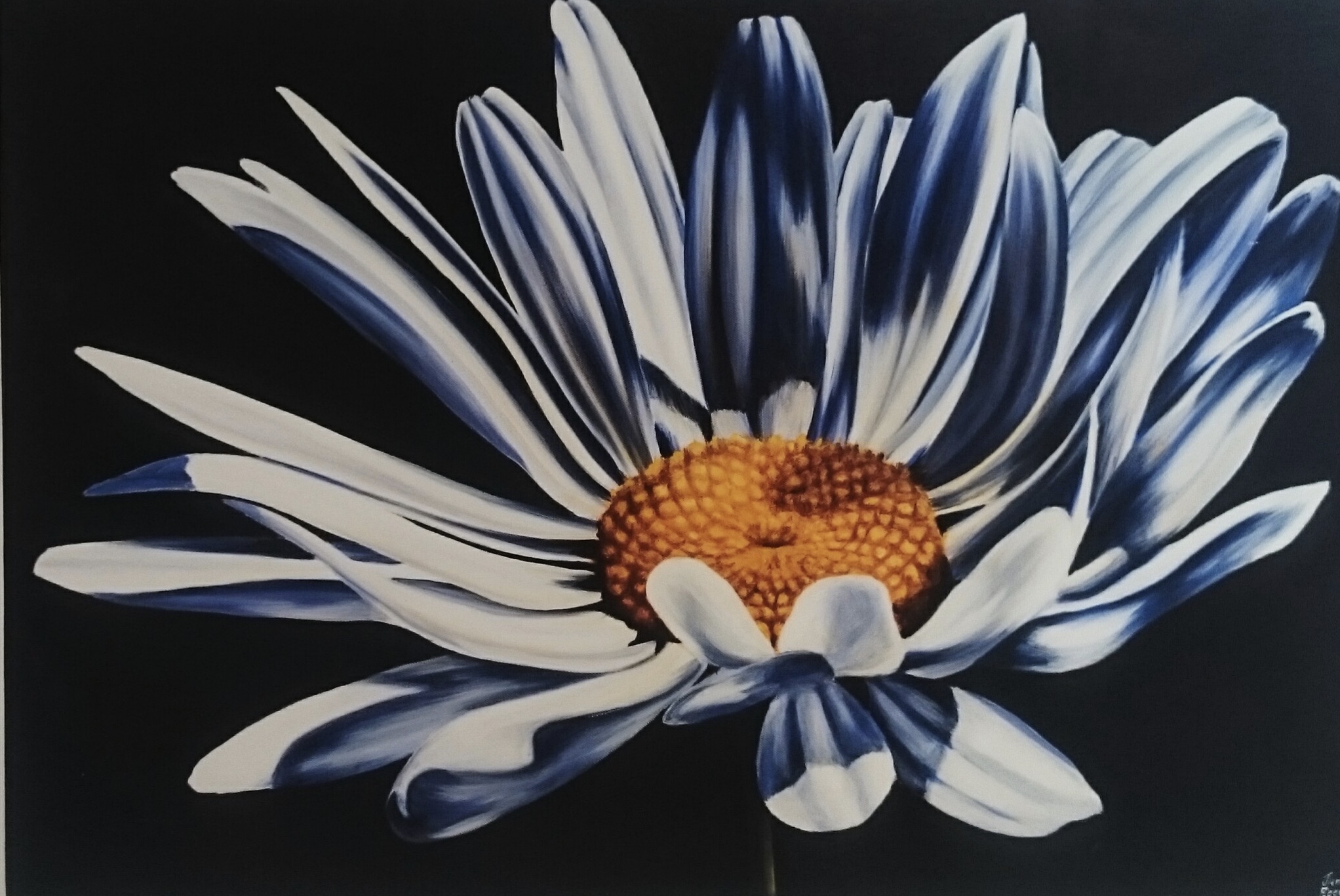 Work | Jane Reeves Art