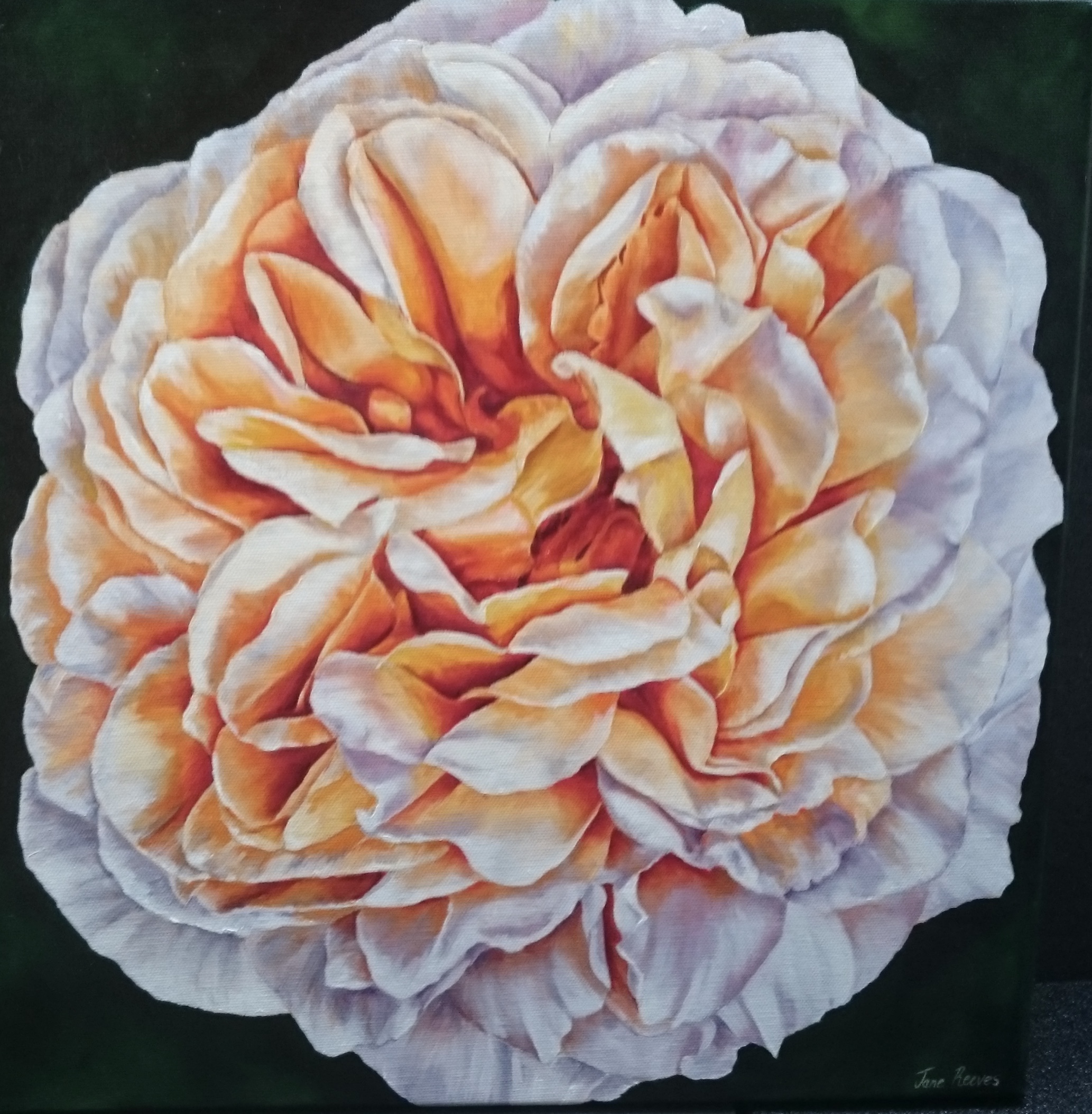 Work | Jane Reeves Art